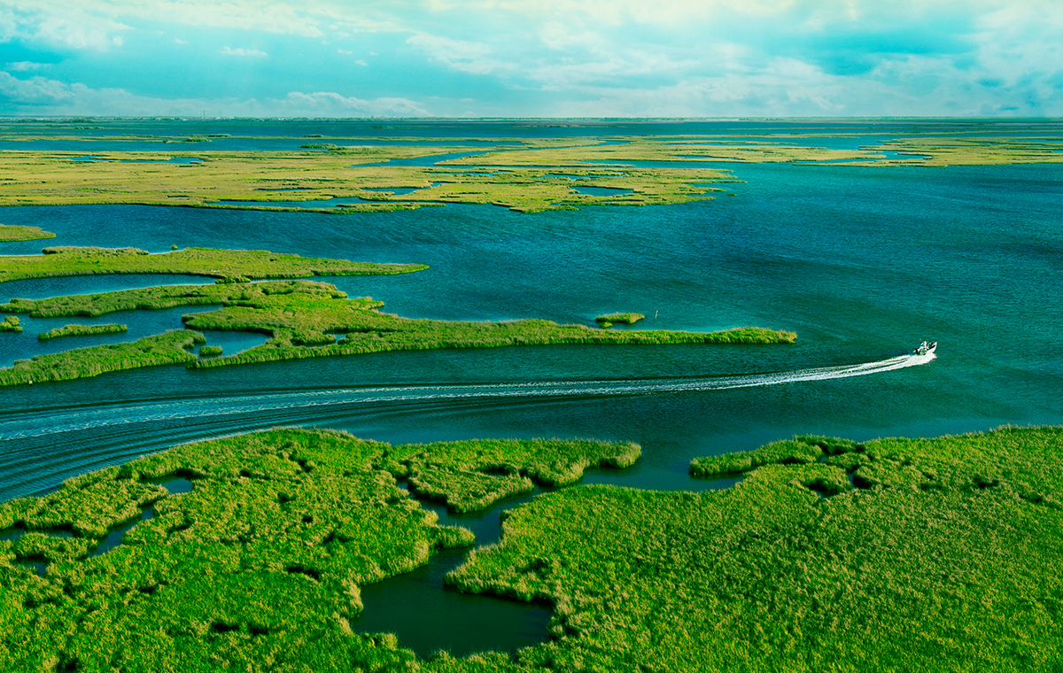 Convention Display Banners — Innovative Advertising